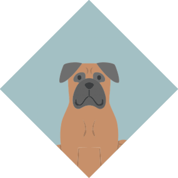 large-breed - Perfectly Rawsome
