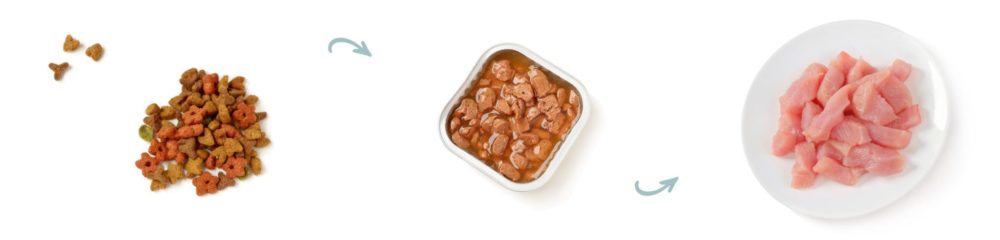 Slow Raw Feeding Transition Guide for Picky & Imprinted Adult Cats