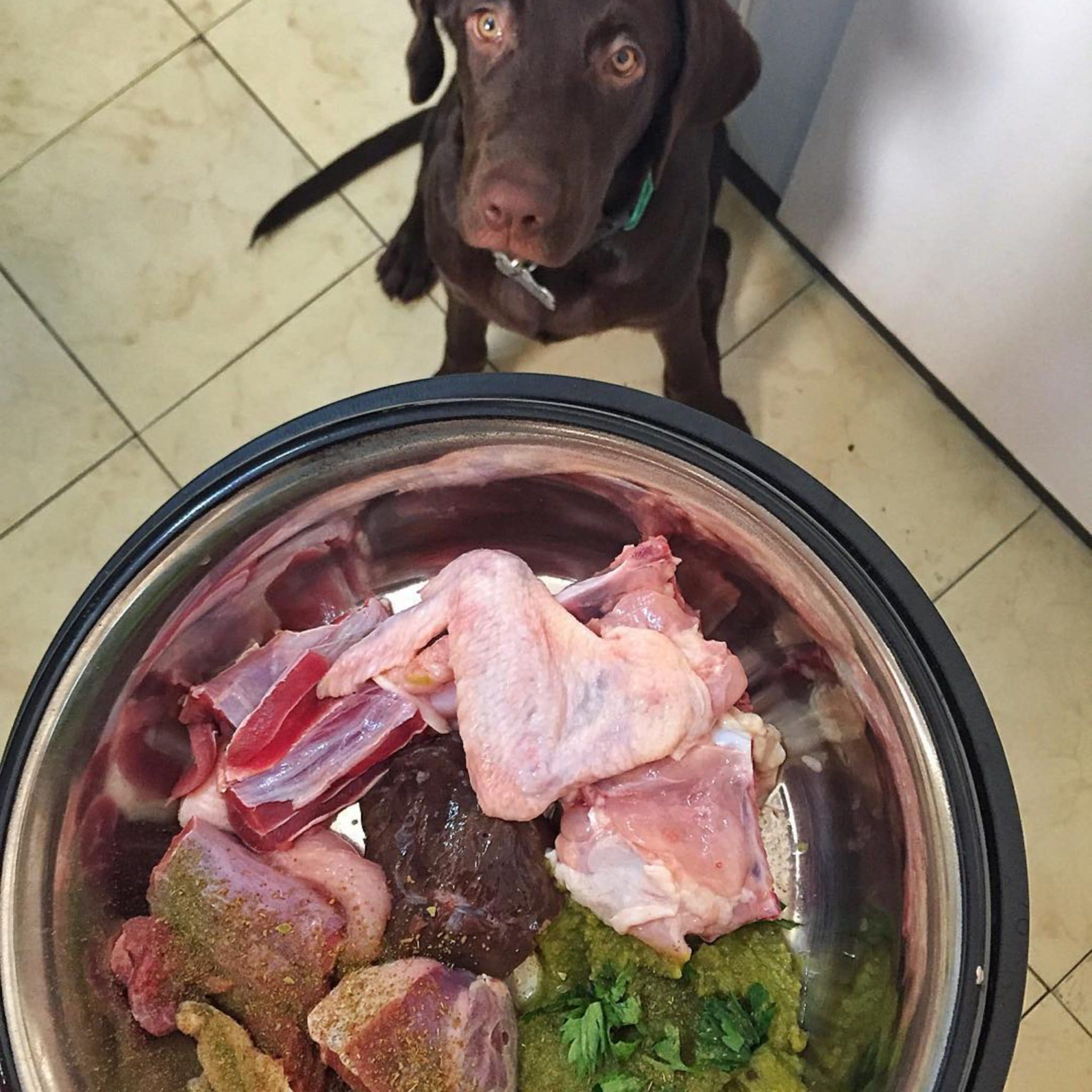BARF Diet, Biologically Appropriate Raw Food, Dog Raw Diet Guide BARF Diet, Biologically Appropriate Raw Food, Dog Raw Diet Guide