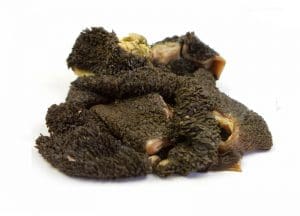 Muscle Meat, What to Feed as Raw Muscle Meat, Raw Diet Ingredients