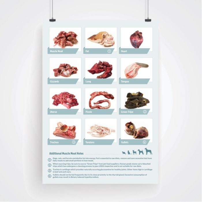 Complete Raw Feeding Flashcards Set, Perfectly Rawsome Shop