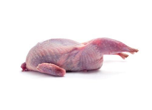 Raw Meaty Bones for Puppies, Raw Diet for Puppies, Puppy Nutrition