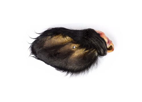 Beef Ears - Perfectly Rawsome