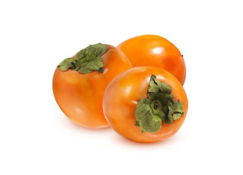 Pet Safe Thanksgiving Side Dish, Perfectly Rawsome Guidance