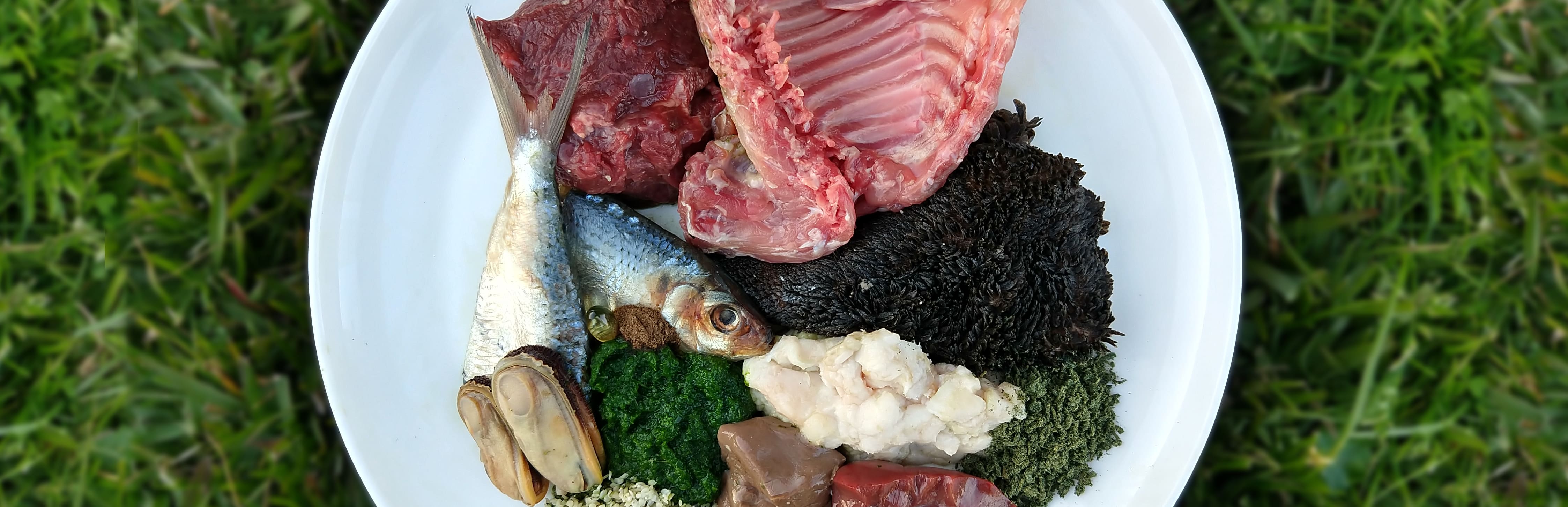 Perfectly Rawsome, Raw Feeding Resource for Raw Feeders