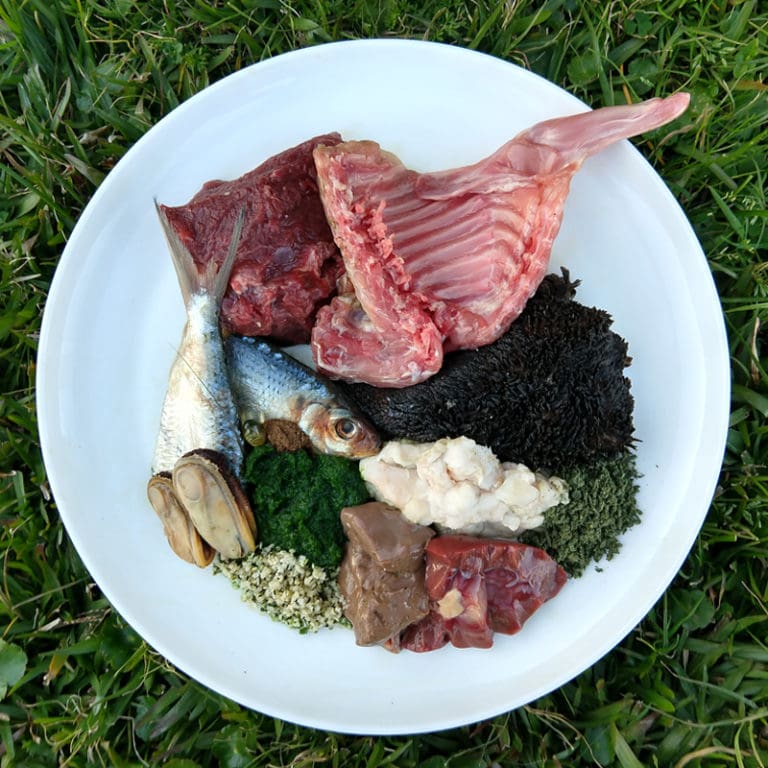 Perfectly Rawsome, Raw Feeding Resource for Raw Feeders