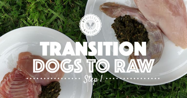 Transition Adult Dogs to Raw Step 1 - Raw Feeding Transition Guide
