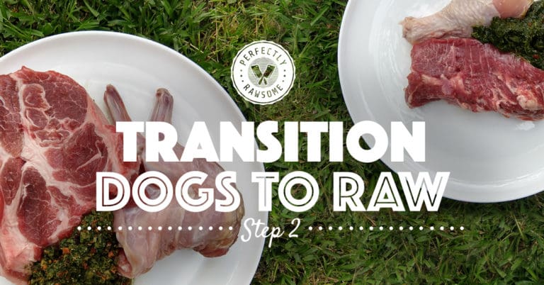Transition Adult Dogs to Raw Step 2, Raw Feeding Transition Guide