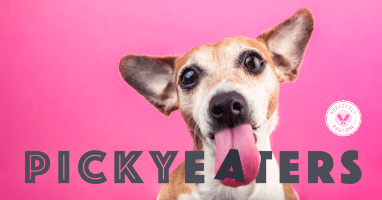 Picky Eaters, Raw Feeding Guidance, Perfectly Rawsome