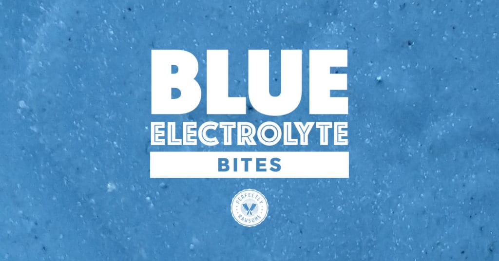 Blue Electrolyte Bites, Raw Feeding Recipe, Perfectly Rawsome