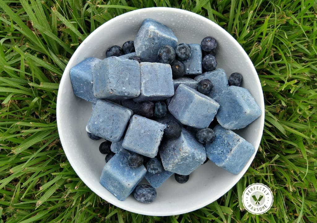 final-blue-bites - Perfectly Rawsome