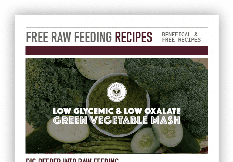 Add Fresh Raw Food to Processed Dry Dog Food Feeding Guide
