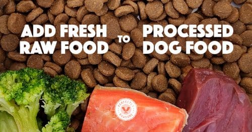 Add Fresh Raw Food to Processed Dry Dog Food Feeding Guide