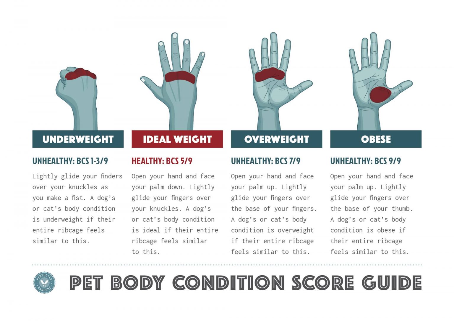 pet body condition score guide - Perfectly Rawsome