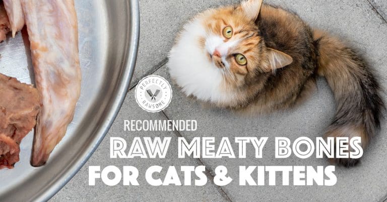 Safe Raw Meaty Bones for Cats & Kittens