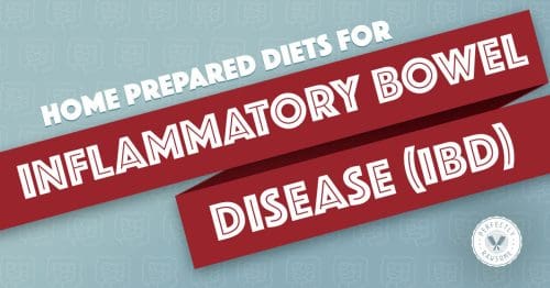 Home Prepared Diets for Inflammatory Bowel Disease