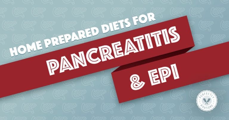 Home Prepared Diets for Pancreatitis & EPI - Perfectly Rawsome