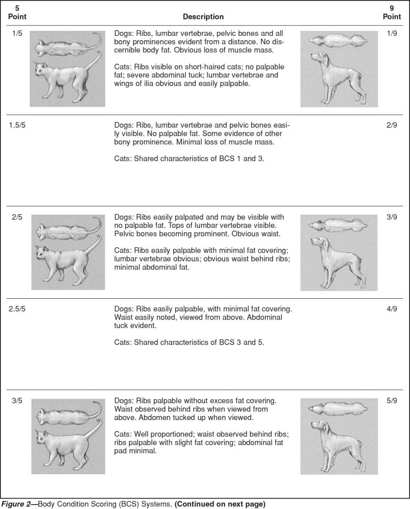 bcs-chart - Perfectly Rawsome