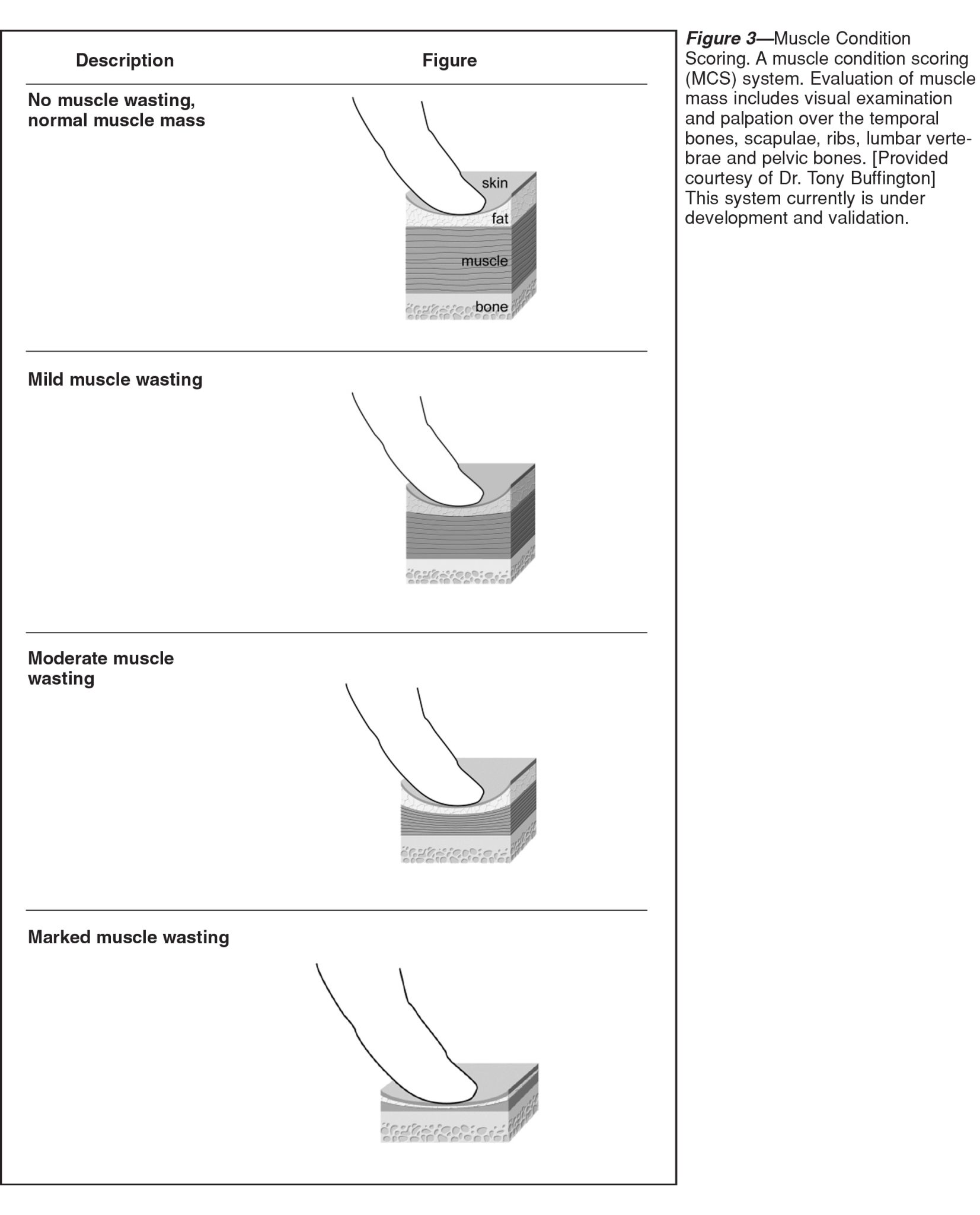 mcs-chart - Perfectly Rawsome