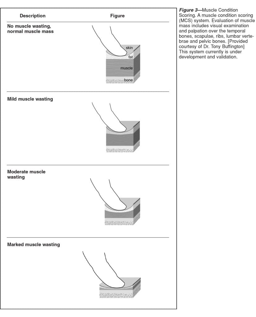 mcs-chart - Perfectly Rawsome