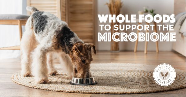 Perfectly Rawsome, Raw Feeding Resource for Raw Feeders